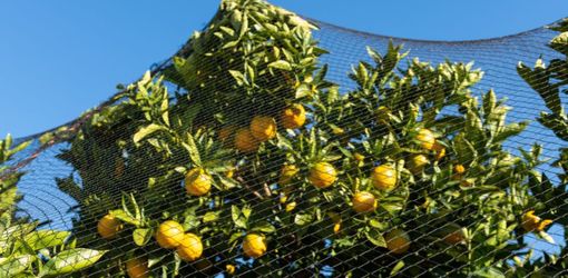 Huck Nets UK | Bespoke Netting Manufacturer - Huck