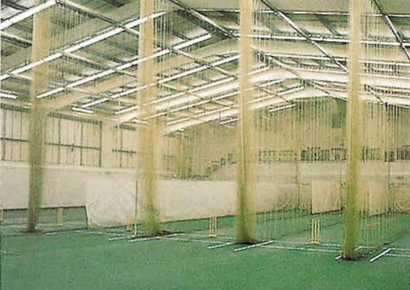 Indoor cricket netting installations - Huck
