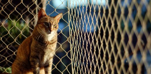 Huck Nets UK | Bespoke Netting Manufacturer - Huck