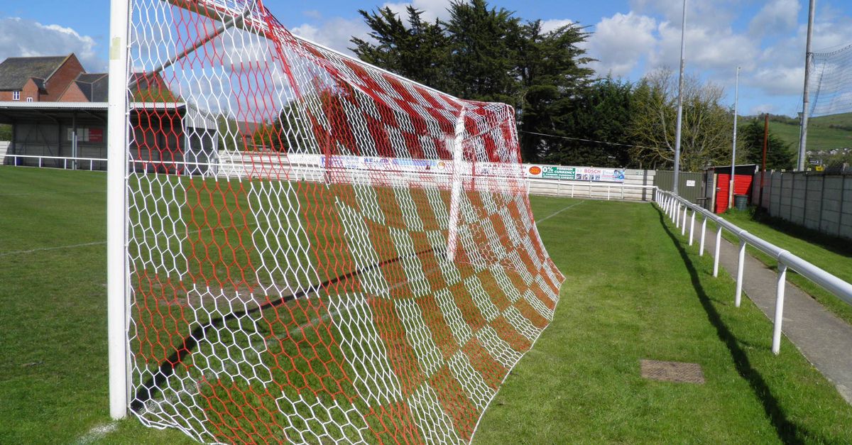 Full-Size Continental Hexagonal Net Goals | 24' x 8' - Huck