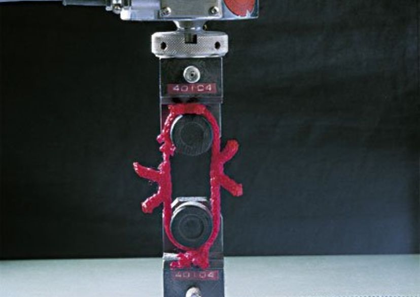 Safety net tests - Huck