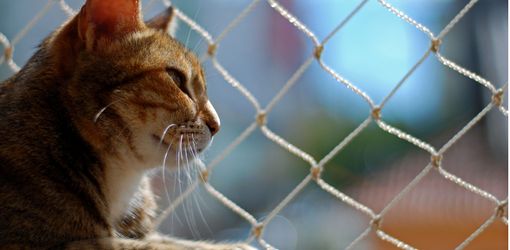 Huck Nets UK | Bespoke Netting Manufacturer - Huck