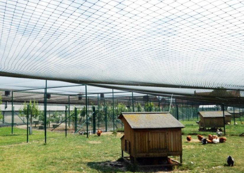 30mm Knotless Starling Netting - Made To Order - Huck