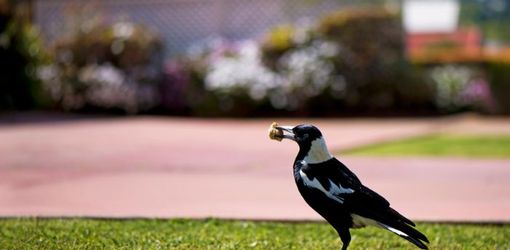 Huck Nets UK | Bespoke Netting Manufacturer - Huck