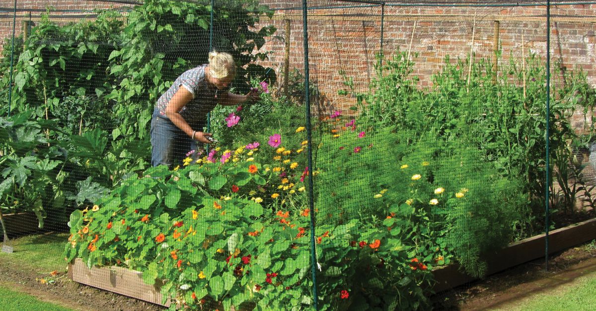 Made-To-Order Fruit Tree Netting for Birds & Insects | Huck Nets - Huck