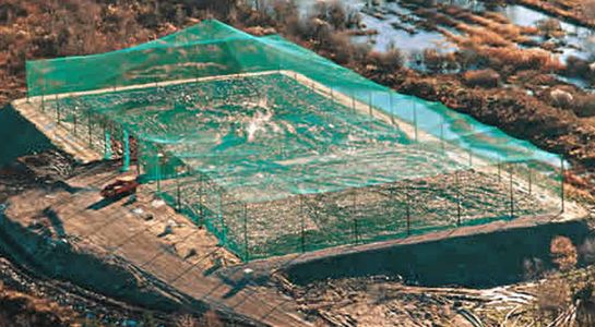 25mm Mesh Anti Litter Net - 4m x 25m - Huck