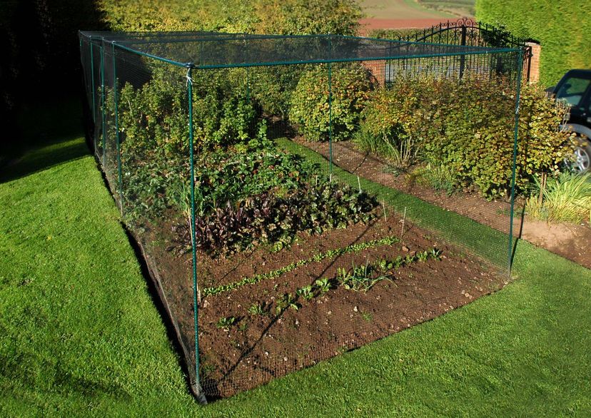 20mm Multi-Purpose, Heavy-Duty Bird Netting - Huck