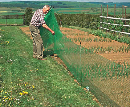 General-Purpose Netting, Green - 25mm, 45mm or 100mm mesh - Huck