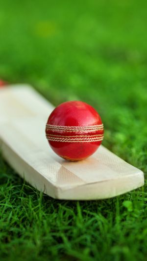 The Ultimate Beginner's Cricket Bat Size Guide! - Huck - Huck