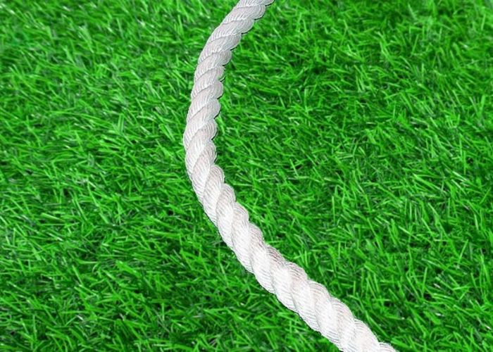 What Is A Boundary In Cricket? The Rules You Need To Know - Huck - Huck