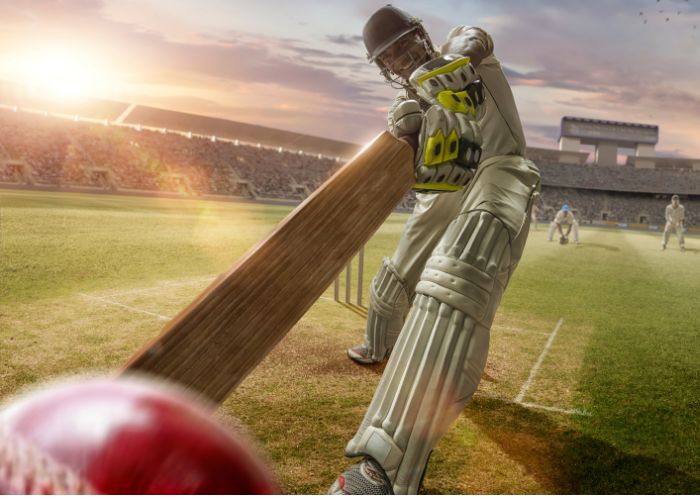 What is a Boundary in Cricket? A Guide for Beginner Players & New Fans ...