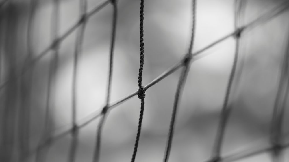 Why You Should Use Roof Bird Netting - Huck - Huck