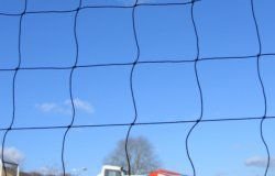 Pheasant Netting 75mm - Made To Order - Huck