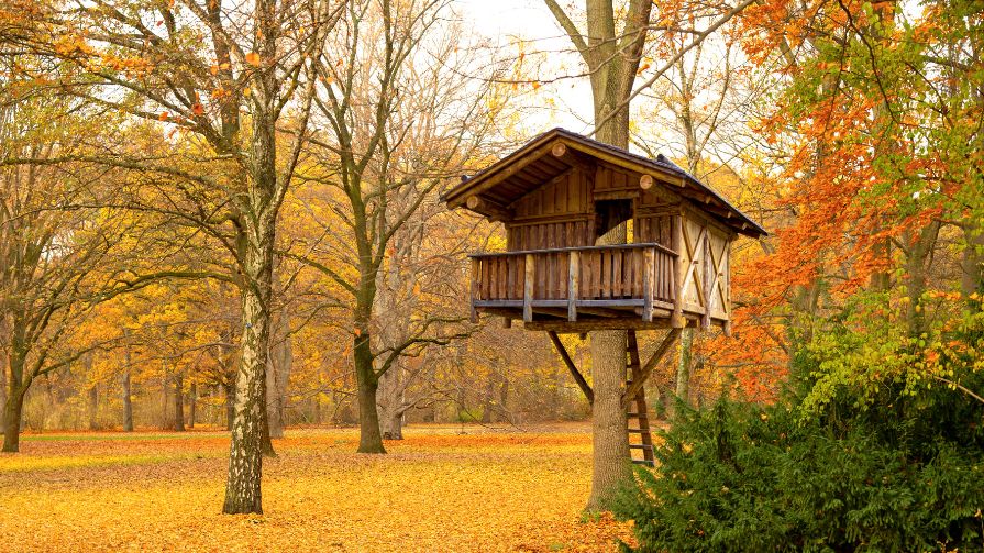 8 Fun And Creative Uses For Climbing Netting At Home - Huck - Huck